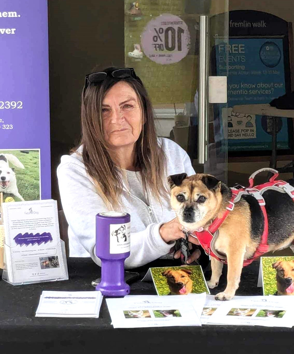 Fetcher at Fremlin!! - Our summer community engagement begins in Maids ...