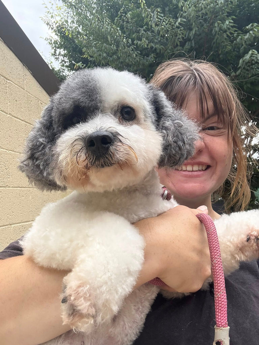 Oh my goodness!! Look at him and his floofy feet! – Fetcher Dog