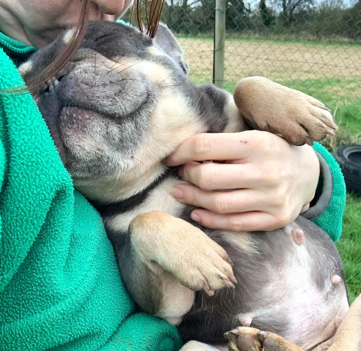 Penny has also been adopted today - Woop! Woop!! – Fetcher Dog